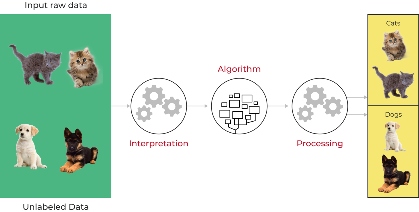 How to Know Which Machine Learning Algorithms to Use: Techniques in ...